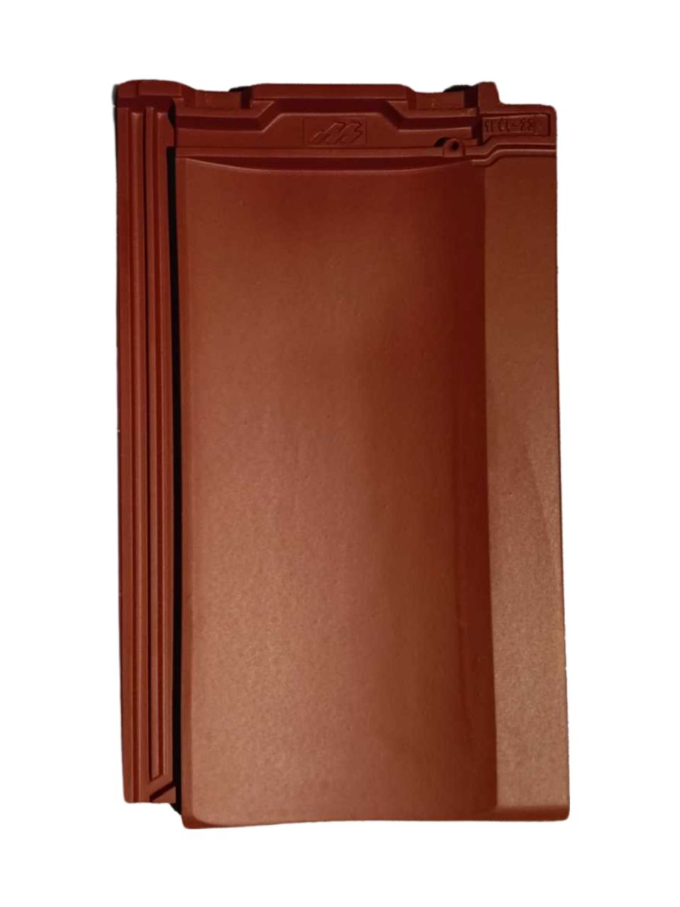 MLADOST Modeli PRO Crep Kontinent ENGOBA bordo | Online prodaja | Ananas