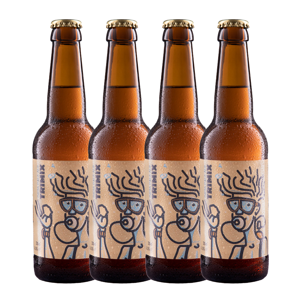 Zzapi Pivo Trimix , 0.33l, 4 komada | Online prodaja | Ananas
