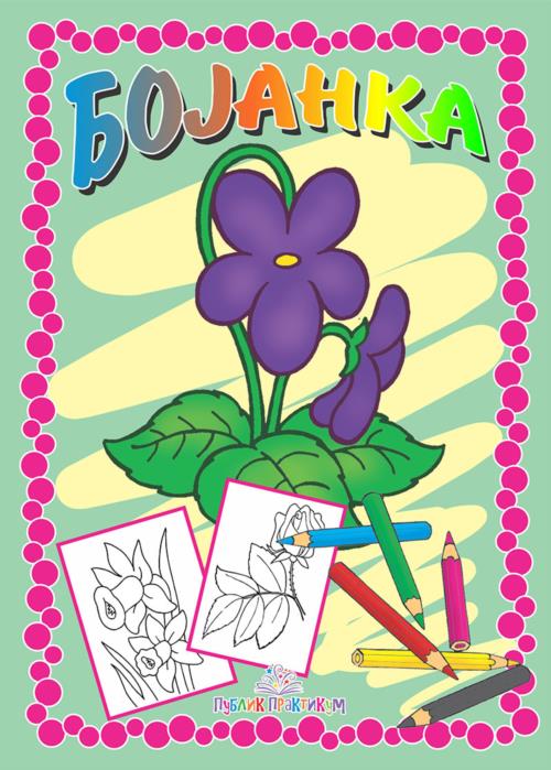 Bojanka - biljke | Online prodaja | Ananas