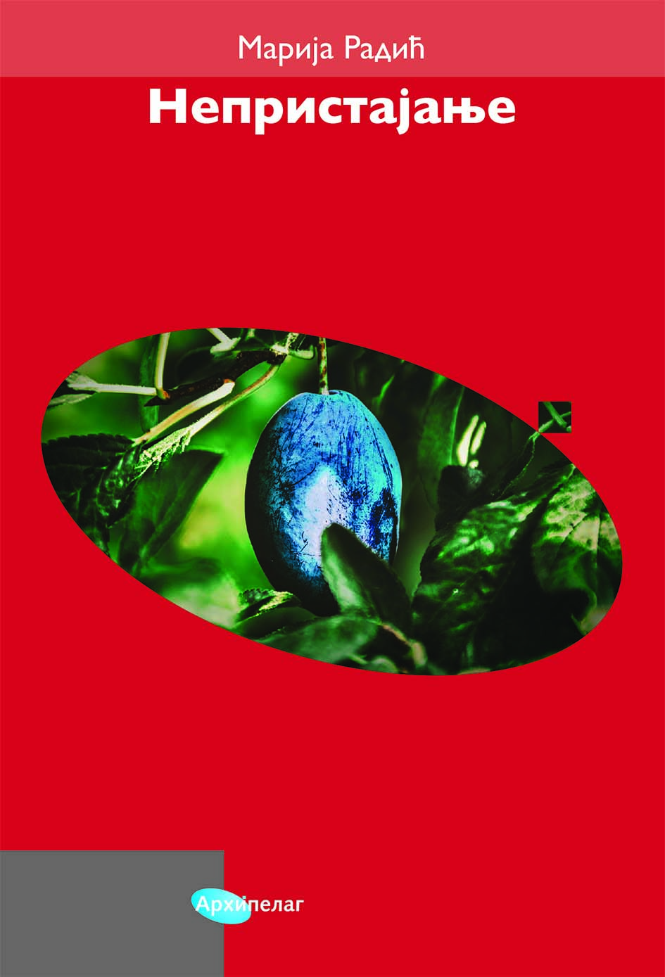 Nepristajanje | Online prodaja | Ananas