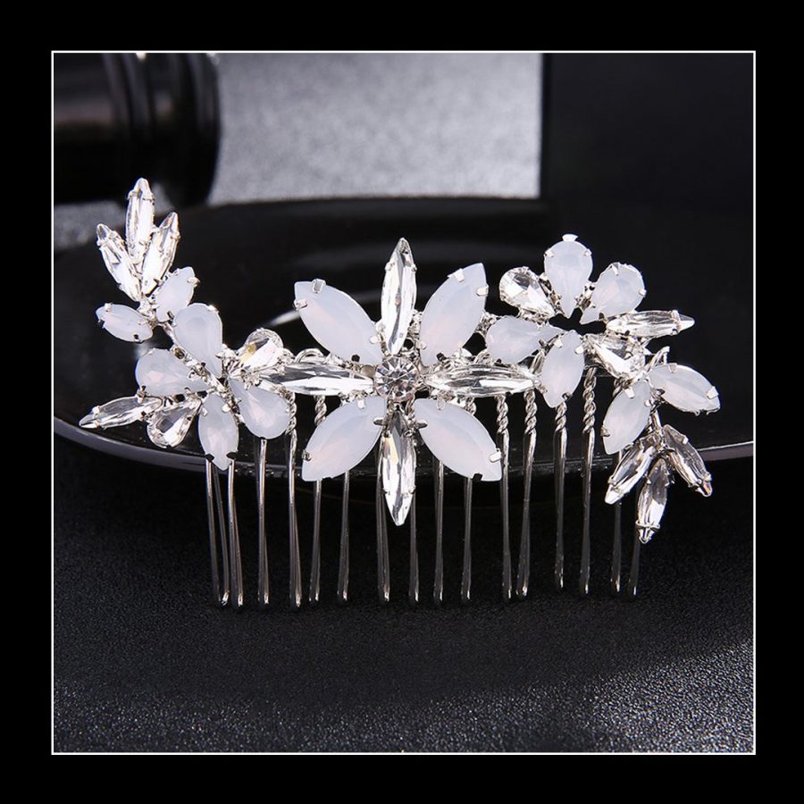 BILJANA KARAN Украсен Чешел Шнола СНЕГУЛКА | Најголема онлајн ...