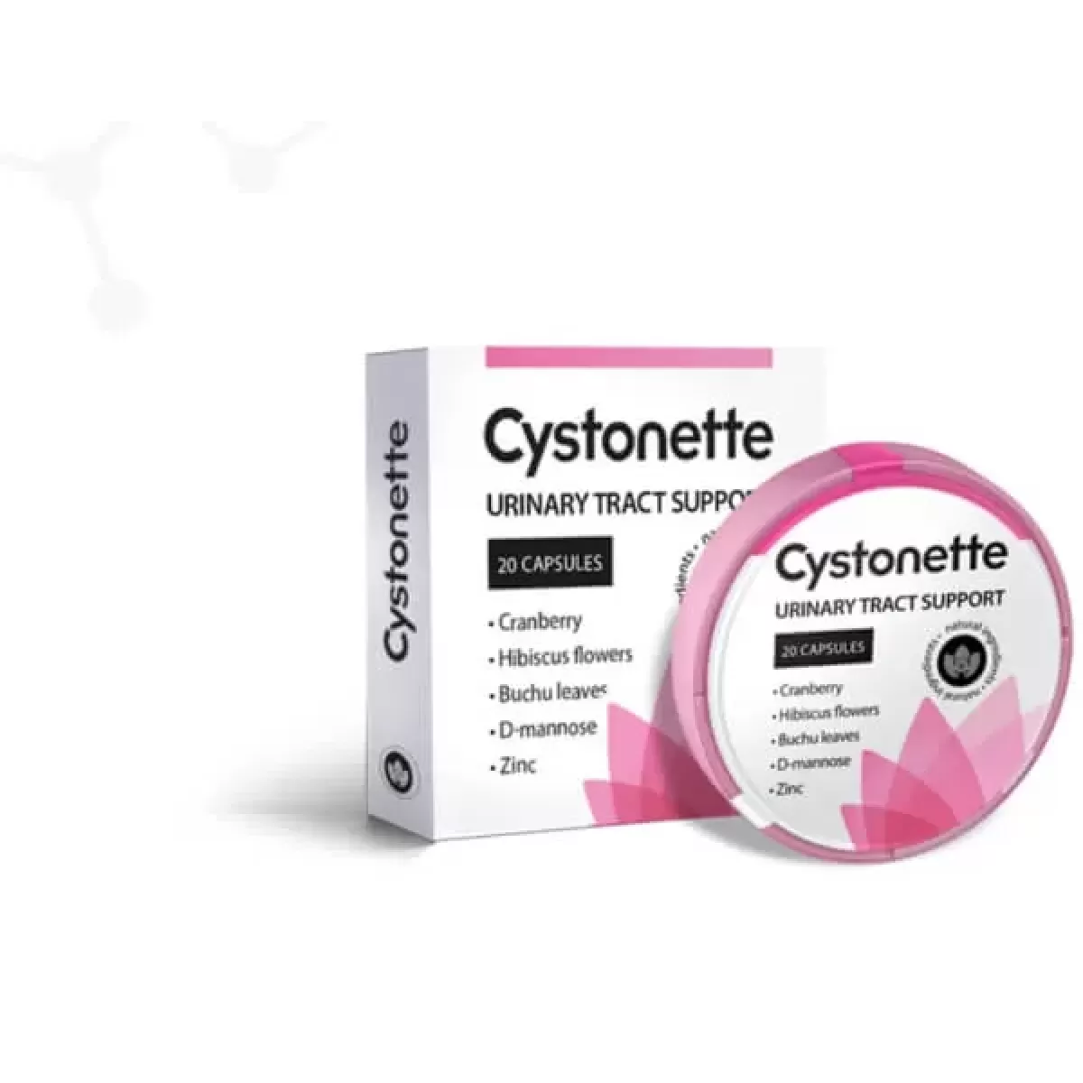 CYSTONETTE Додаток во исхраната, 20 капсули | Најголема онлајн ...