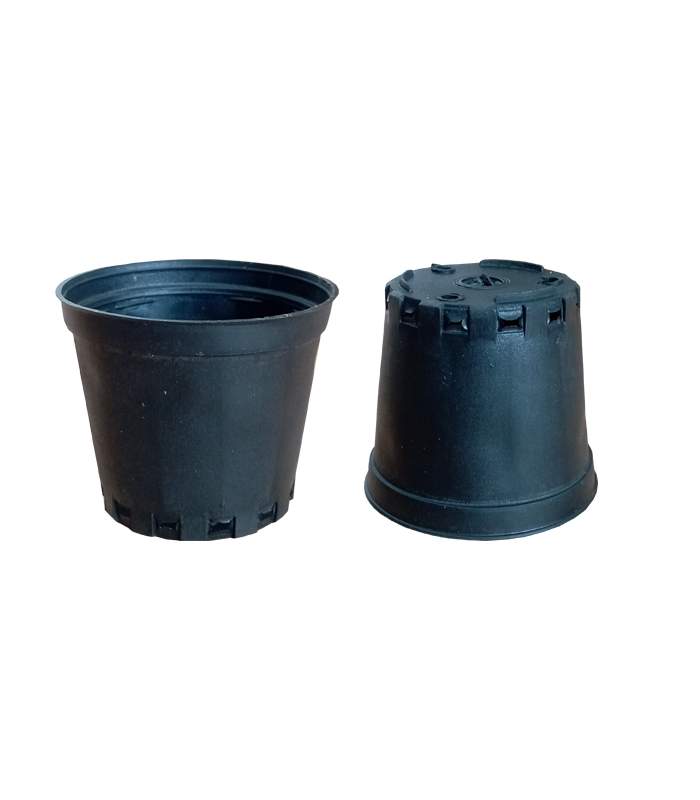 Saksija za rasad, 8cm, Crna | Online prodaja | Ananas