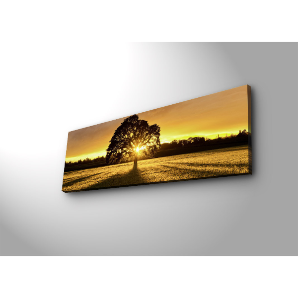 Wallity Slika prirode sa LED osvetljenjem 30x90 cm | Online prodaja ...