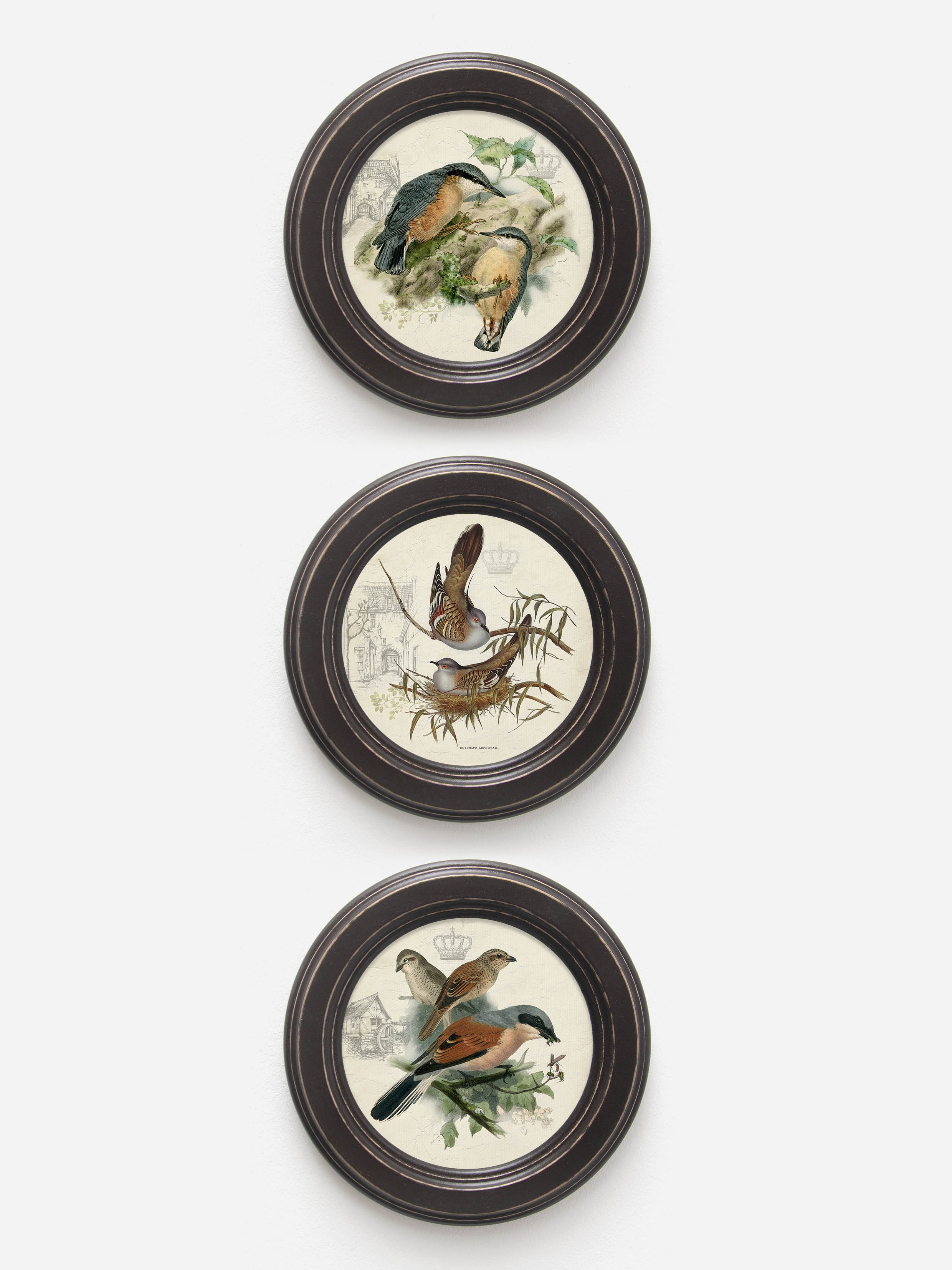 Home Gallery Set od 3 mini slike "Ptice" 17.5cm | Online prodaja | Ananas