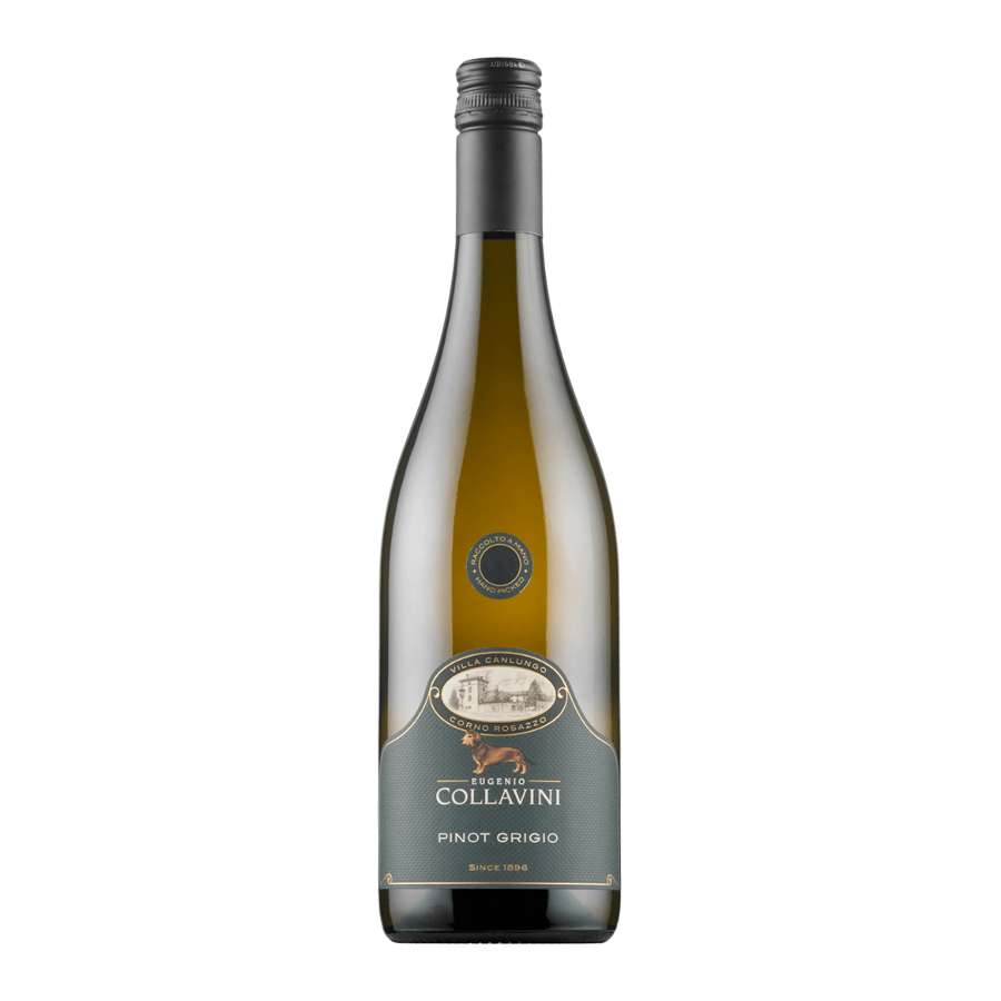 COLLAVINI Pinot Grigio Collavini doc Collio belo vino 0.75l | Online ...