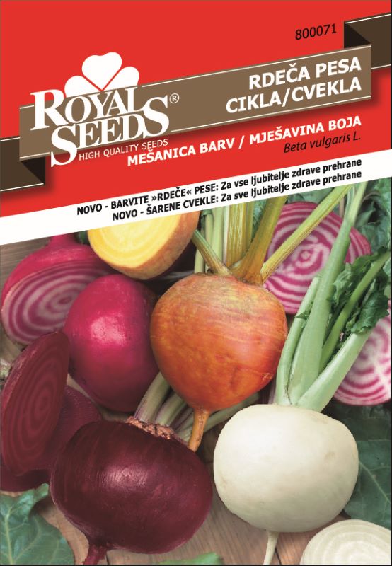 Flora Ekspres Seme povrća, Cvekla miks boja | Online prodaja | Ananas