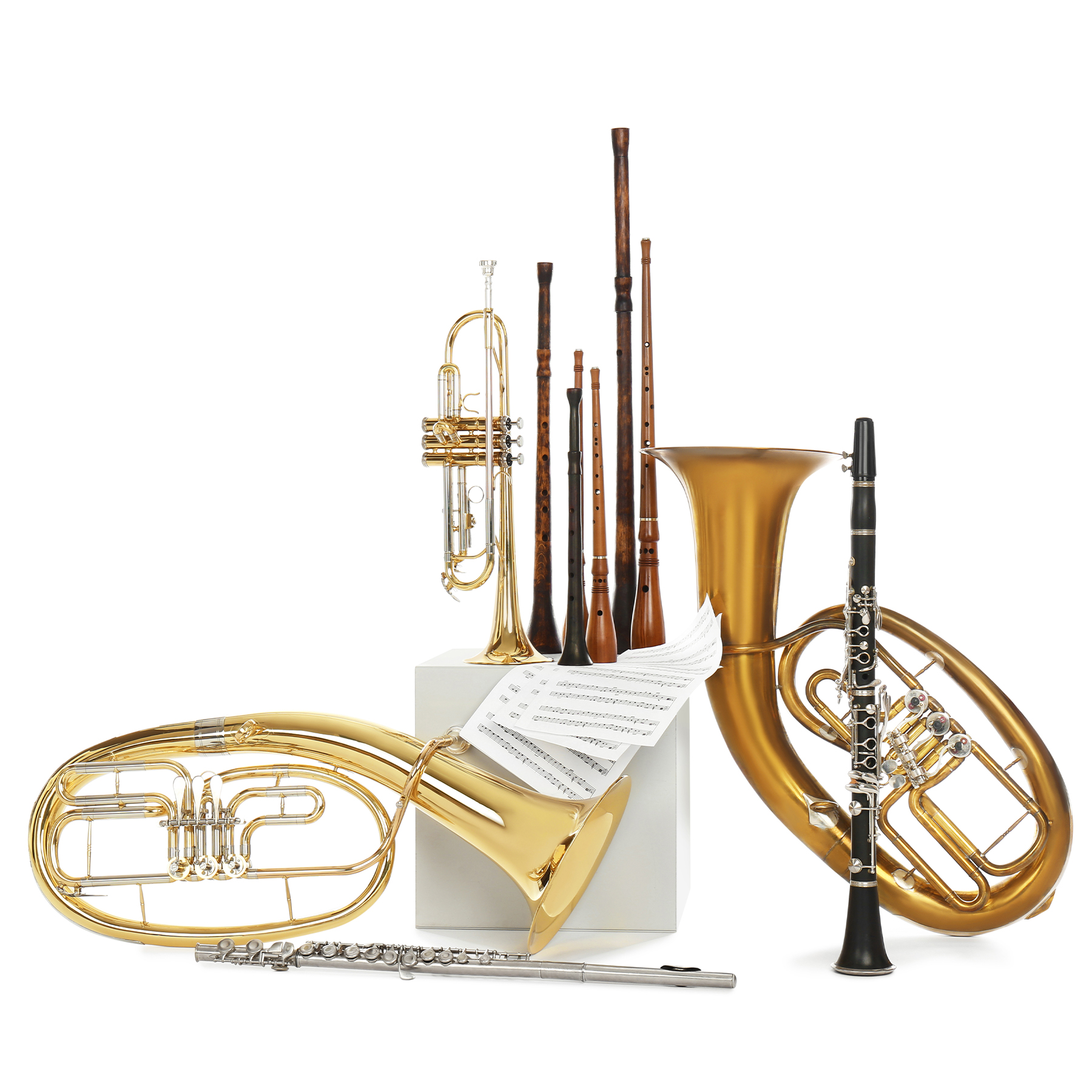 Дувачки инструменти | Најголема онлајн продавница во Македонија | Ананас МК