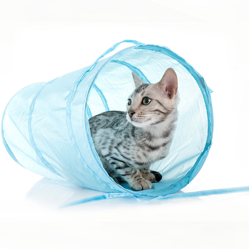 Tuneli | Online prodaja | Ananas