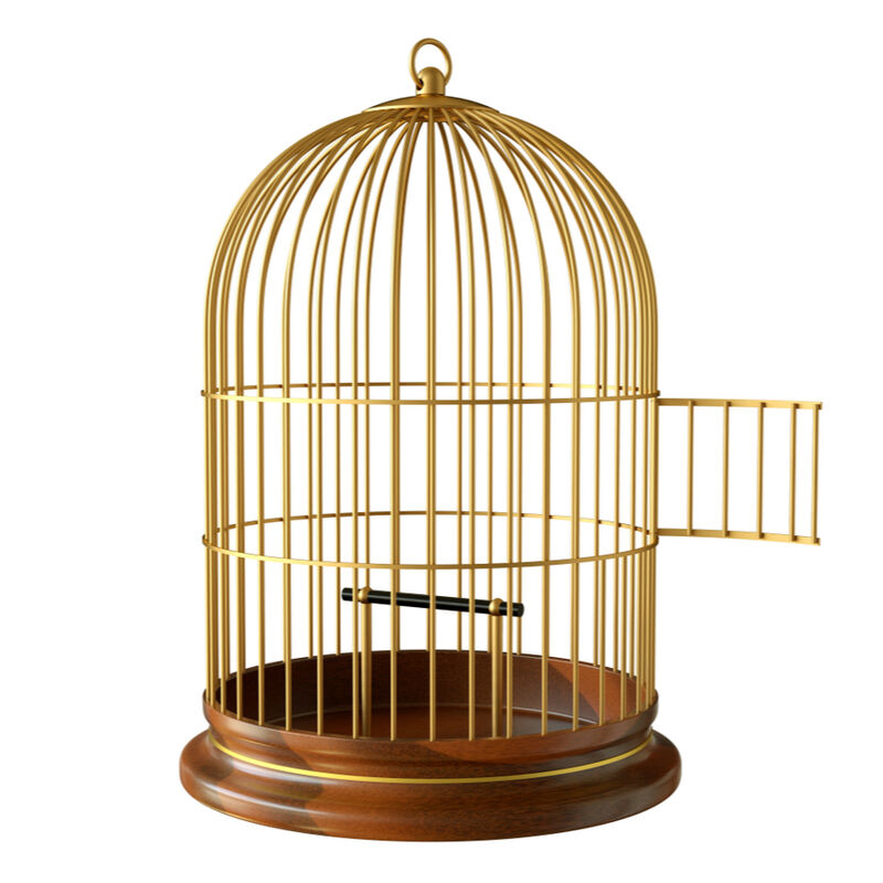 Kavezi za ptice | Za papagaje, kanarince, nimfe i druge | Ananas